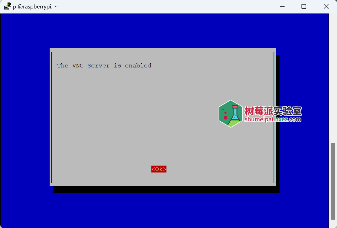 树莓派配置VNC | 奔跑的IC