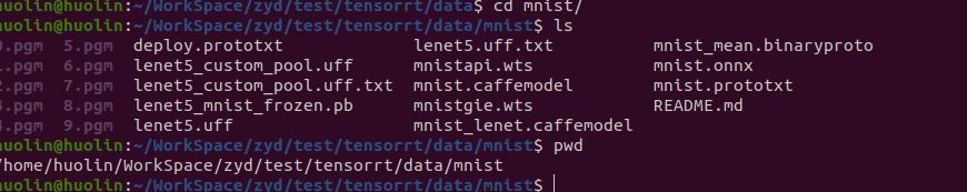 TensorRT例子 | 奔跑的IC